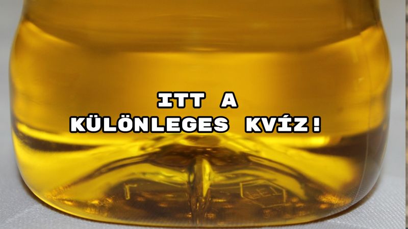 Megérkezett a különleges kvíz - mutass nekünk egy telitalálatot ...